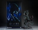 Aliens Alien Warrior Statue by Sideshow Collectibles | Sideshow ...