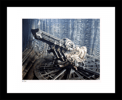 Alien Life Form Art Print by Classic Stills | Sideshow Collectibles