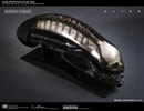 Alien Head Prop Replica by H.R. Giger | Sideshow Collectibles
