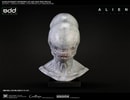 Alien: Covenant Neomorph Life-Size Head Prop Replica | Sideshow ...