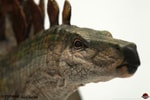 Jurassic Park Stegosaurus Maquette by Chronicle Collectibles | Sideshow ...