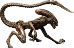 Alien 3 Dog Alien Statue by Kotobukiya | Sideshow Collectibles