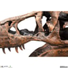 T-Rex Skull Quarter Scale Replica | Sideshow Collectibles