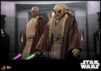 Kit Fisto™ Sixth Scale Figure by Hot Toys | Sideshow Collectibles