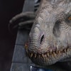 Indominus Rex Bust by Doctor Collector | Sideshow Collectibles