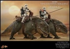 Sandtrooper Sergeant™ & Dewback™ Sixth Scale Figure Set by Hot Toys ...