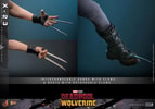 X-23 Sixth Scale Figure by Hot Toys | Sideshow Collectibles