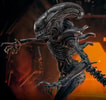 Scorched Xenomorph Sixth Scale Figure by Hot Toys | Sideshow Collectibles