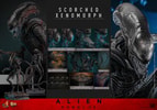 Scorched Xenomorph Sixth Scale Figure by Hot Toys | Sideshow Collectibles