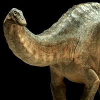 Dinosauria Apatosaurus Maquette by Sideshow Collectibles | Sideshow ...