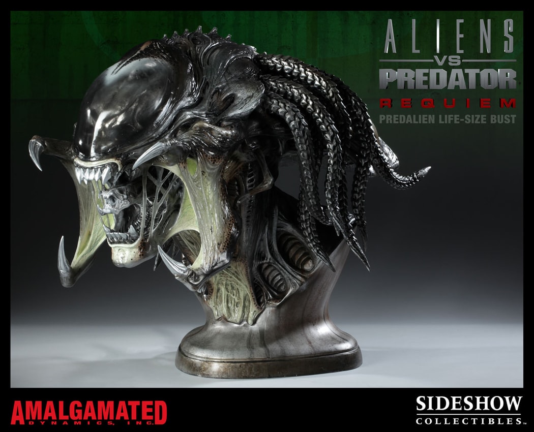 Alien VS Predator PredAlien Life-Size Bust by Sideshow Collectibles ...