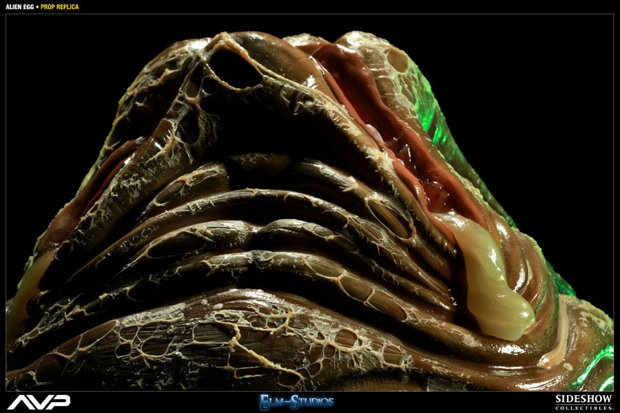 Alien VS Predator Alien Egg Prop Replica by Sideshow Collect | Sideshow ...