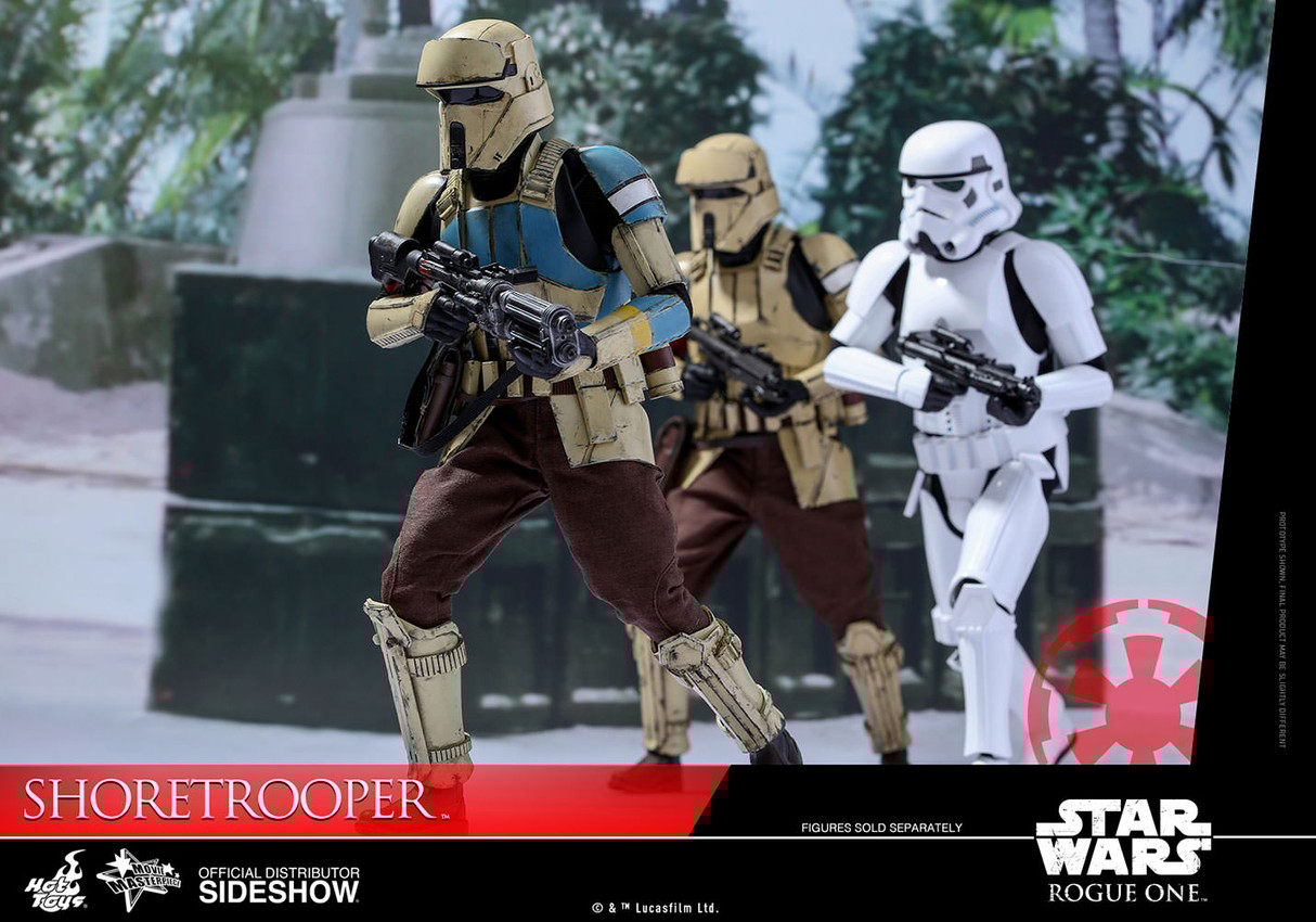 Star Wars Shoretrooper Sixth Scale Figure by Hot Toys | Sideshow ...