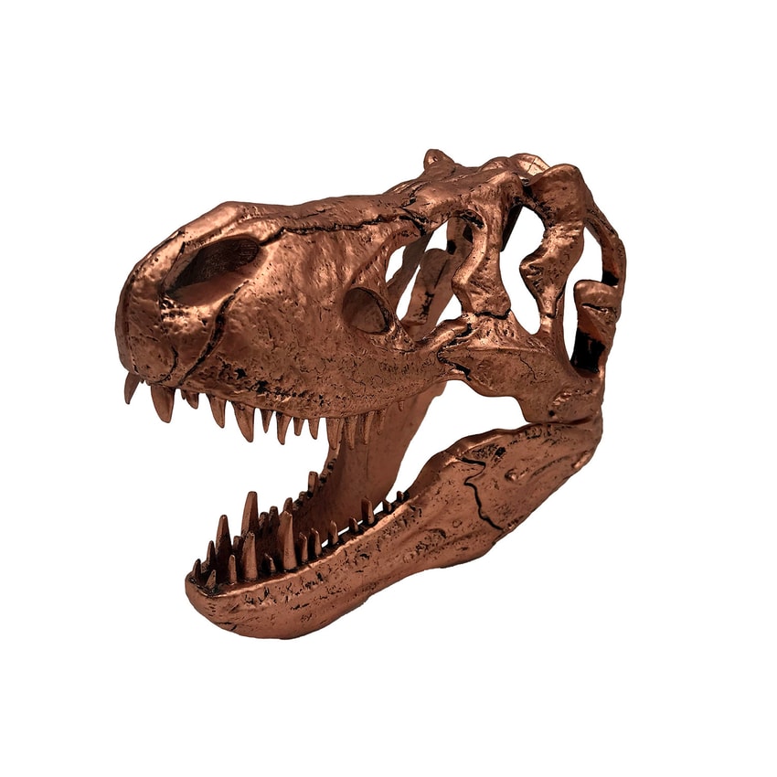 T-Rex Skull Scaled Replica by Factory Entertainment | Sideshow Collectibles