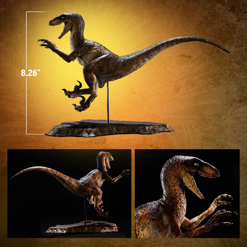 raptor size comparison