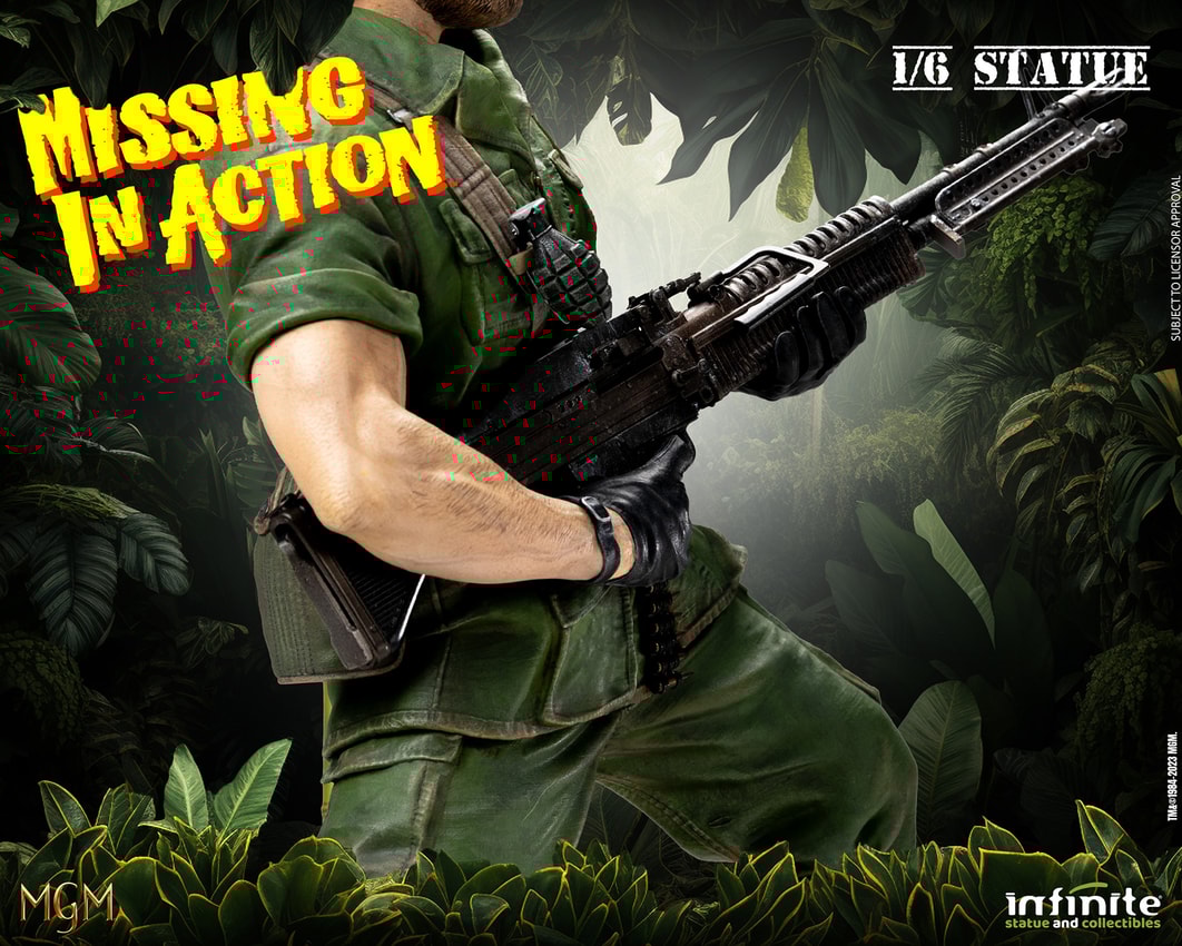 missing in action 4