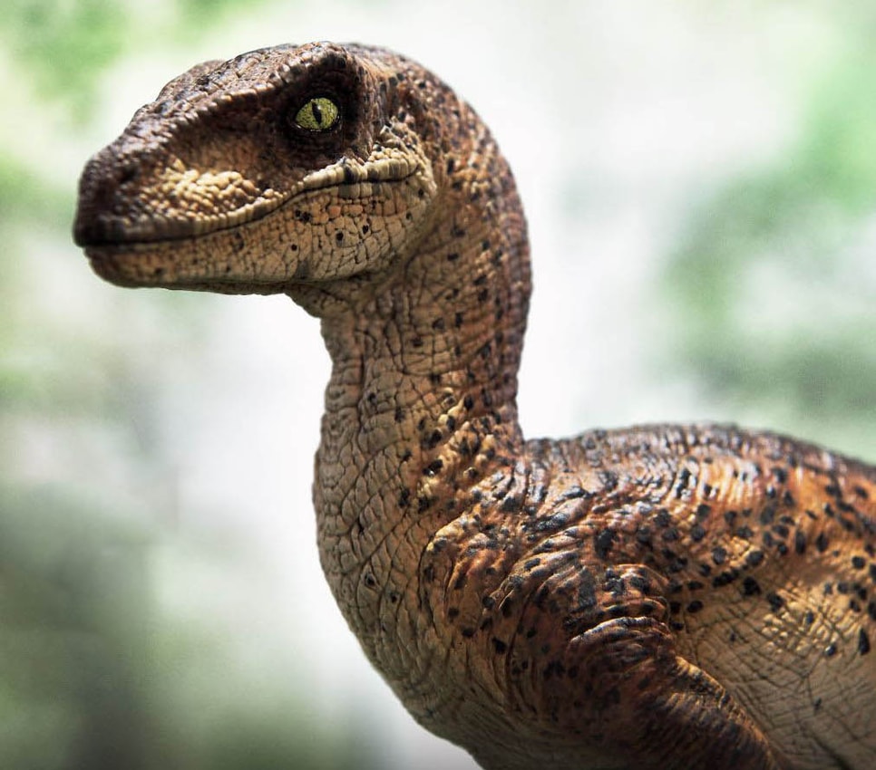 Jurassic World Velociraptor Head Feld Entertainment's 'Jurassic World