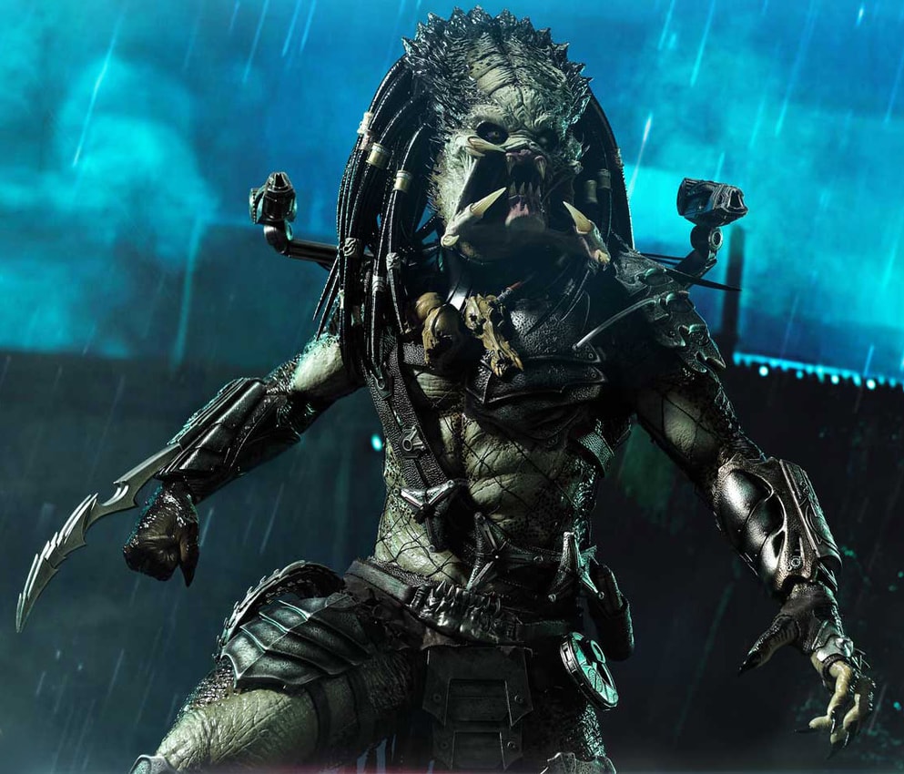 predator wolf experience