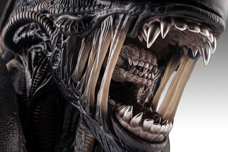 Alien Xenomorph Life-Size Bust by Hollywood Collectibles Group ...