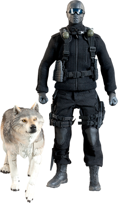 G.I. Joe Snake Eyes and Timber Sixth Scale Figure by Sideshow ...