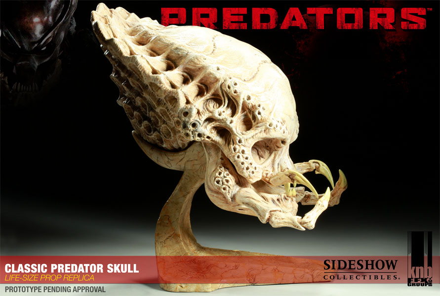 predator x skull