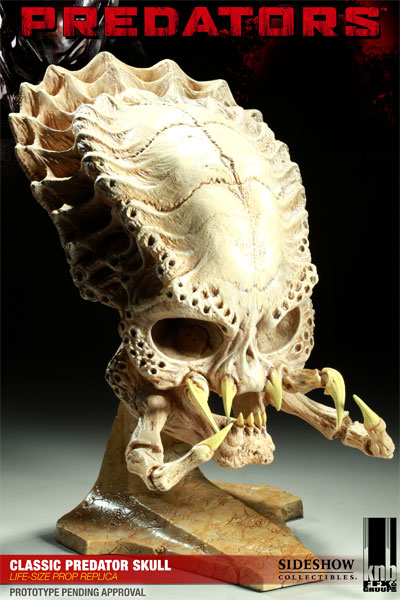 Classic Predator Skull Prop Replica | Sideshow Collectibles