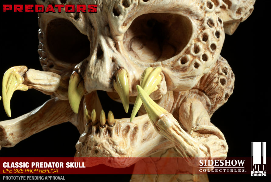 Classic Predator Skull Prop Replica | Sideshow Collectibles