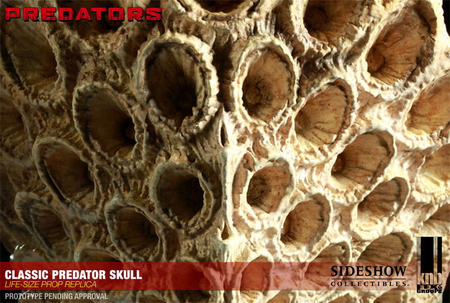 Classic Predator Skull Prop Replica | Sideshow Collectibles
