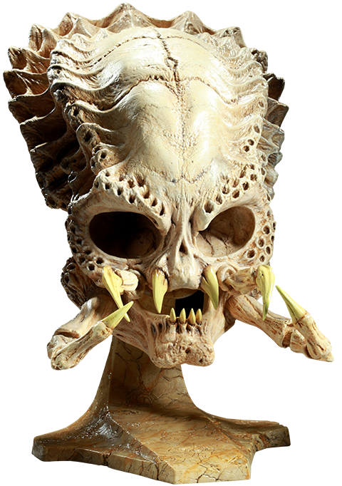 predator x skull