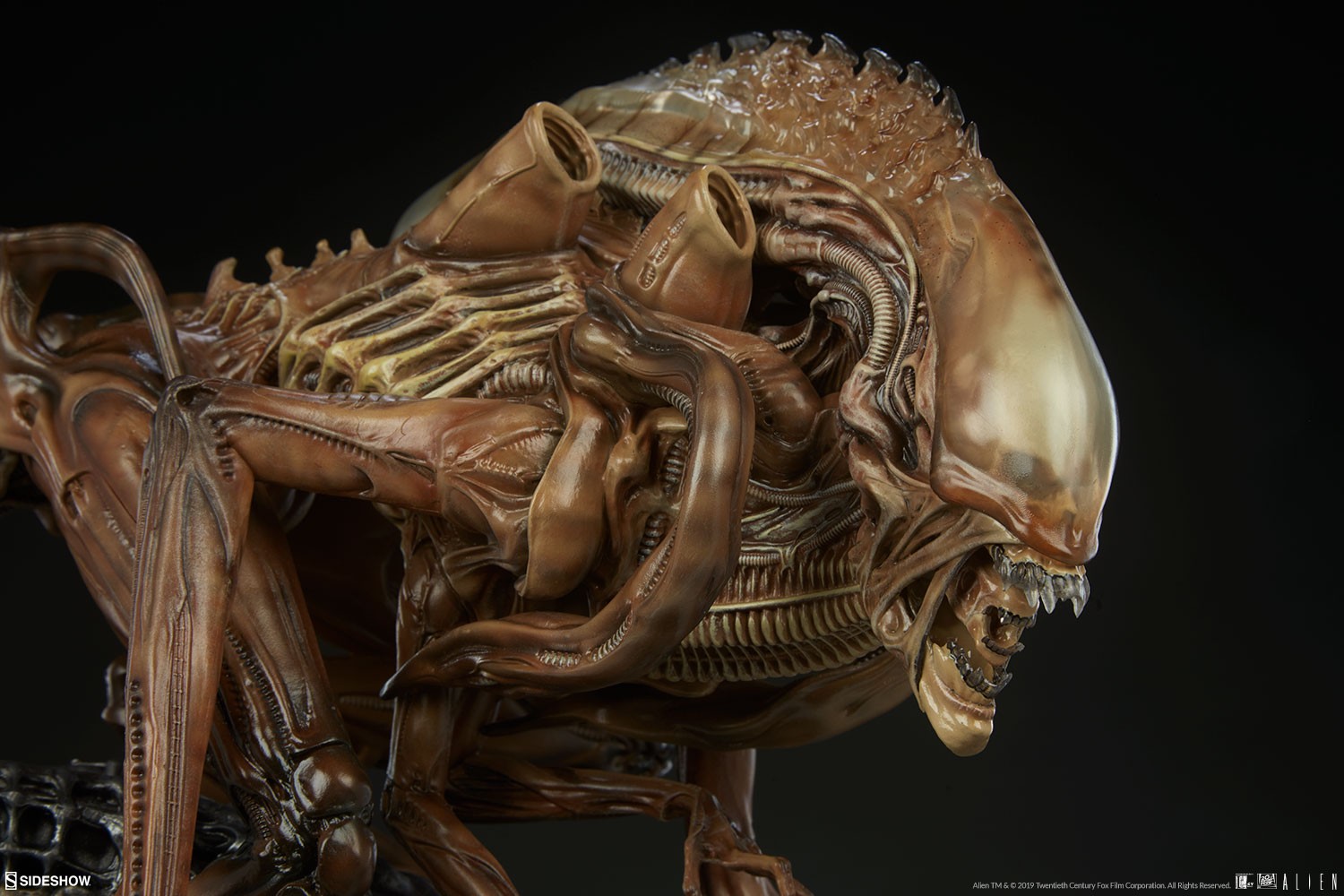Alien Warrior - Mythos Maquette by Sideshow Collectibles | Sideshow ...