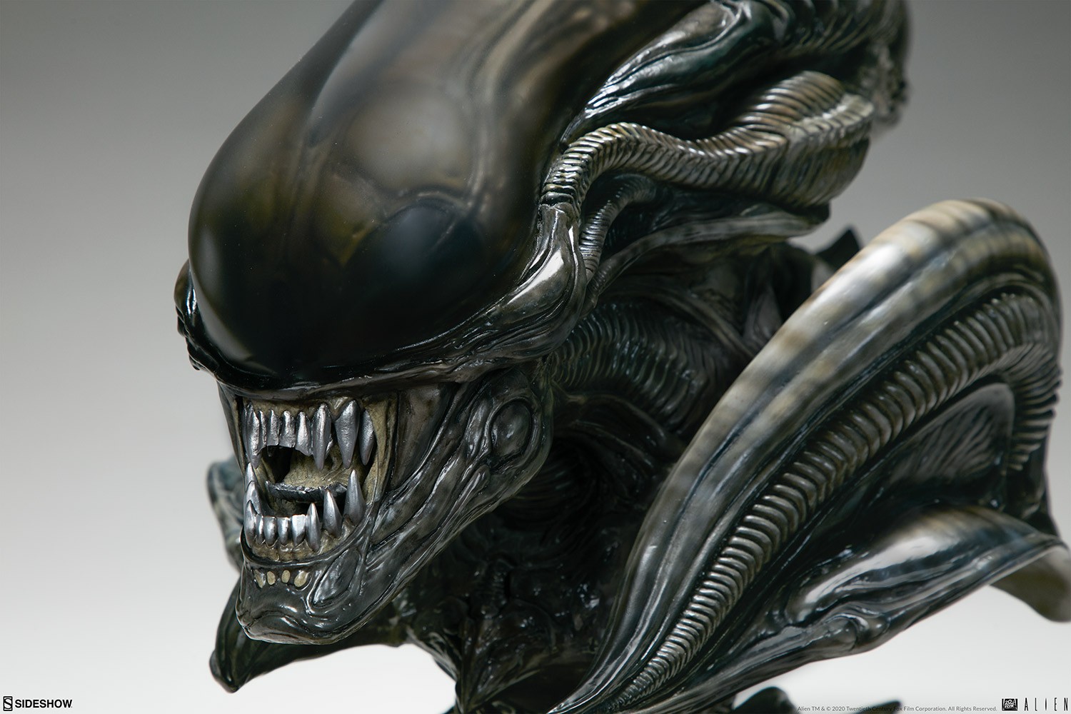 Alien Xenomorph Parasite Mythos Legendary Scale™ Bust by Sideshow ...