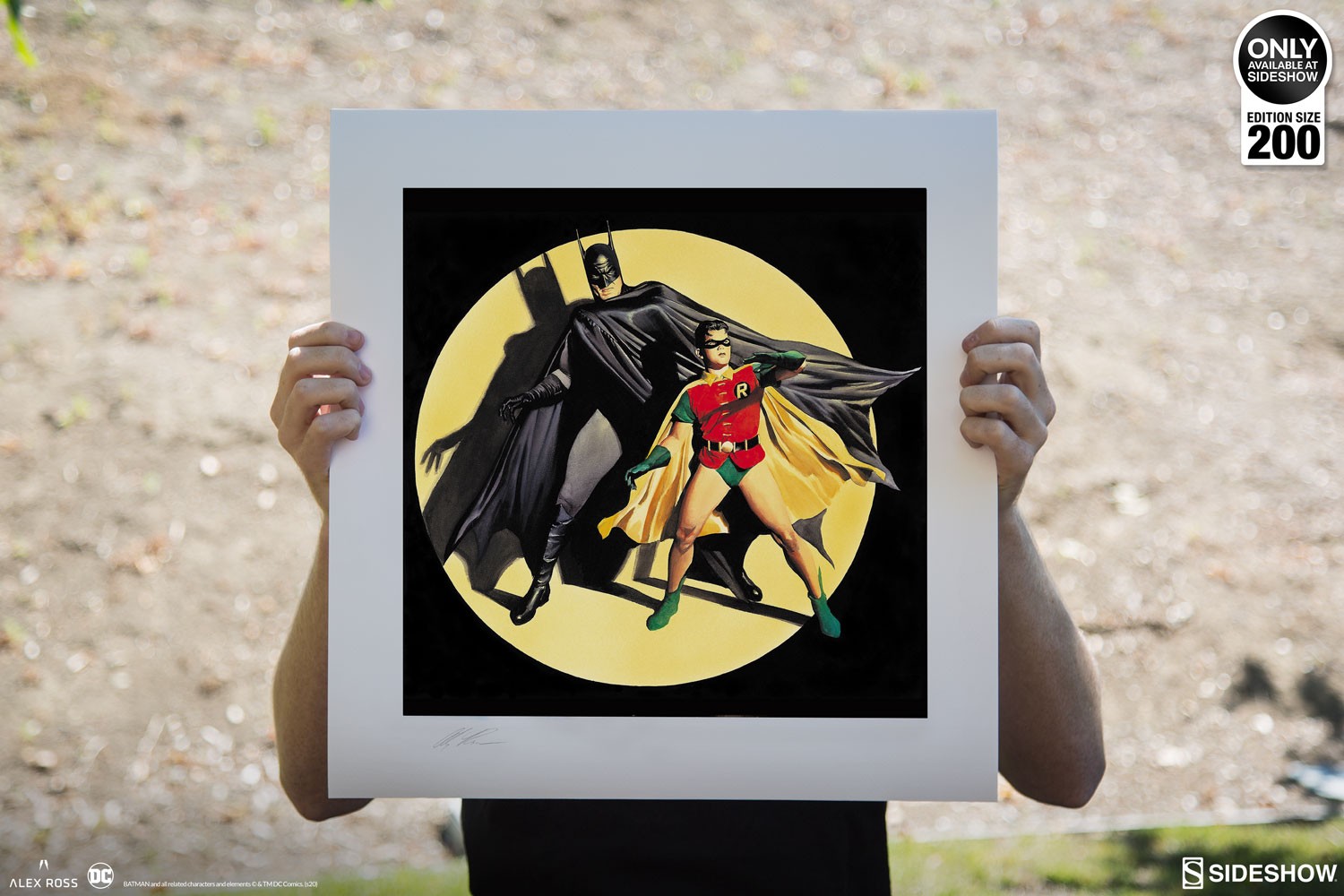 The Dynamic Duo Fine Art Lithograph by Alex Ross | Sideshow Collectibles