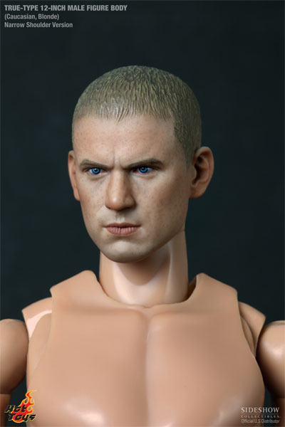 True-Type Male Figure Body Sixth Scale Figure by Hot Toys | Sideshow ...