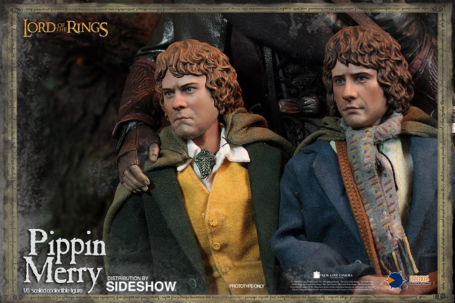 Pippin Lord Of The Rings