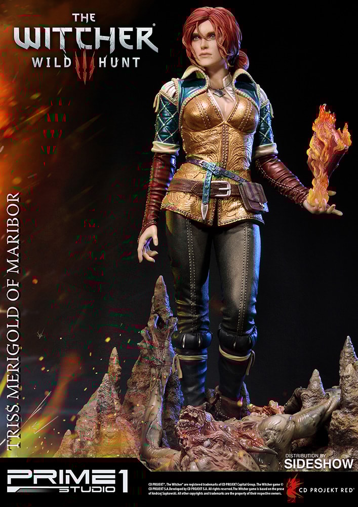 witcher 3 triss