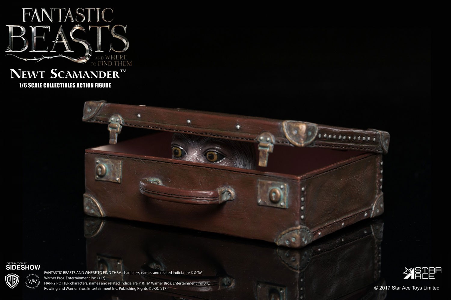 Fantastic Beasts and Where to Find Them Newt Scamander Sixth | Sideshow ...