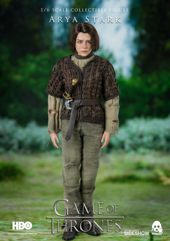 arya 6