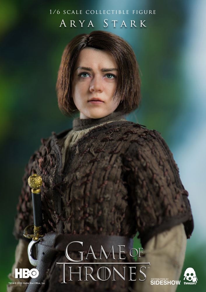 arya 6x08