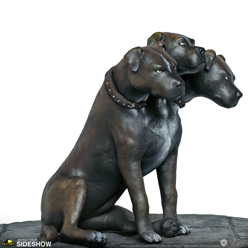 fluffy harry potter dog