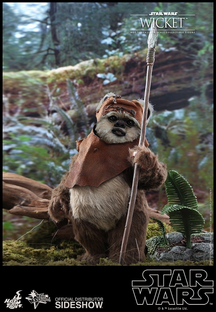 Star Wars Wicket Sixth Scale Figure by Hot Toys | Sideshow Collectibles