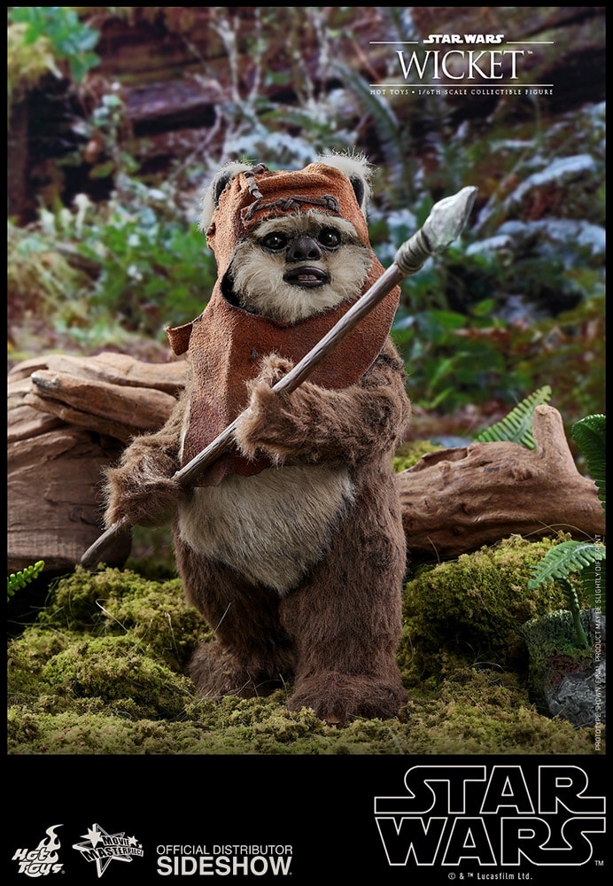 Star Wars Wicket Sixth Scale Figure by Hot Toys | Sideshow Collectibles