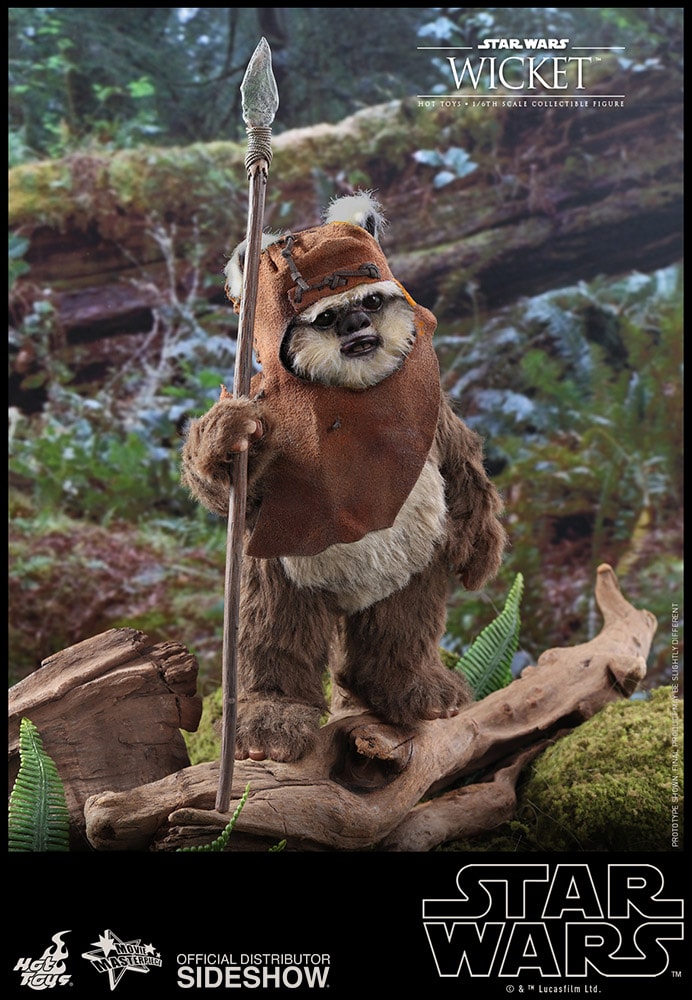 Star Wars Wicket Sixth Scale Figure by Hot Toys | Sideshow Collectibles