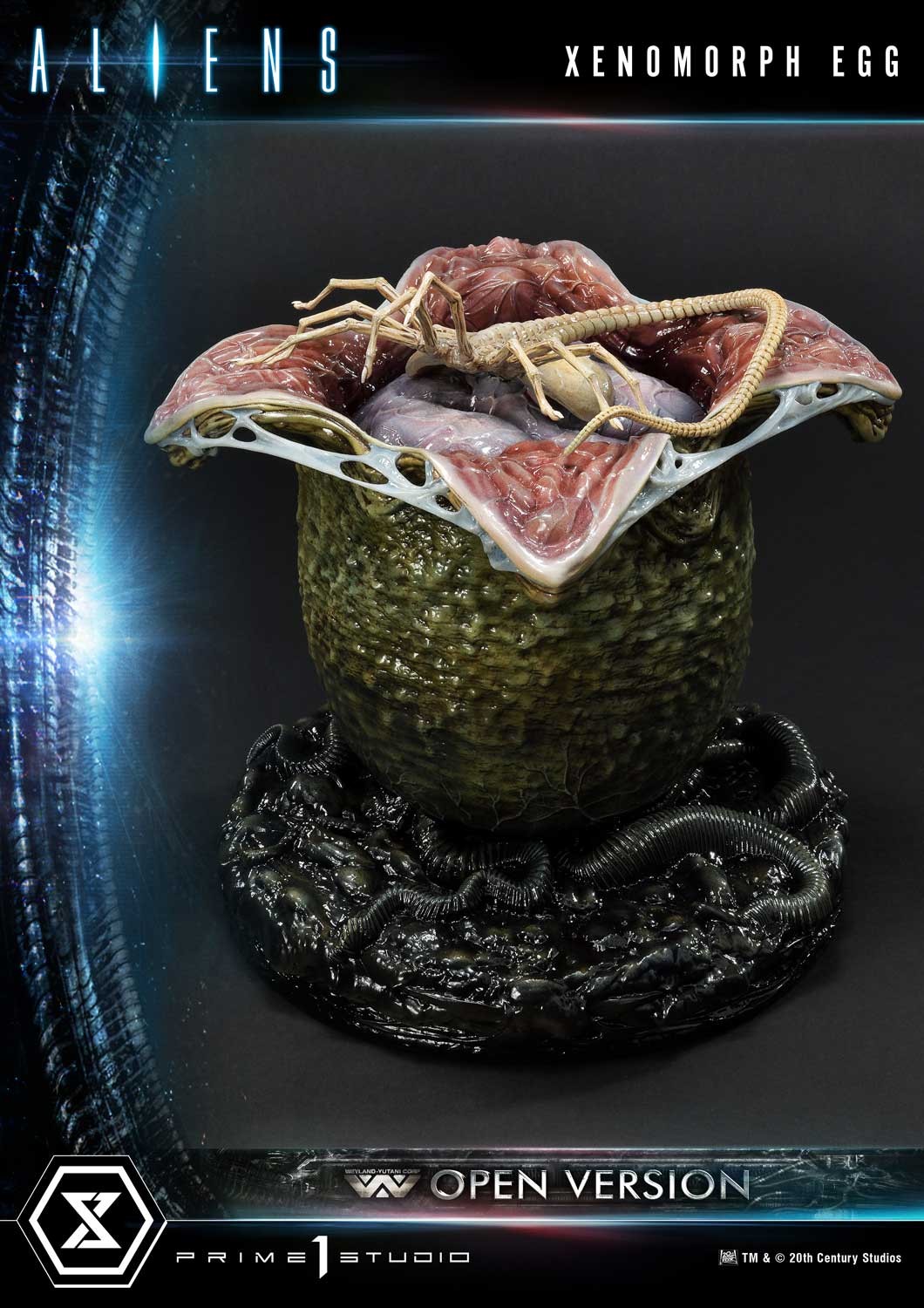 xenomorph eggs