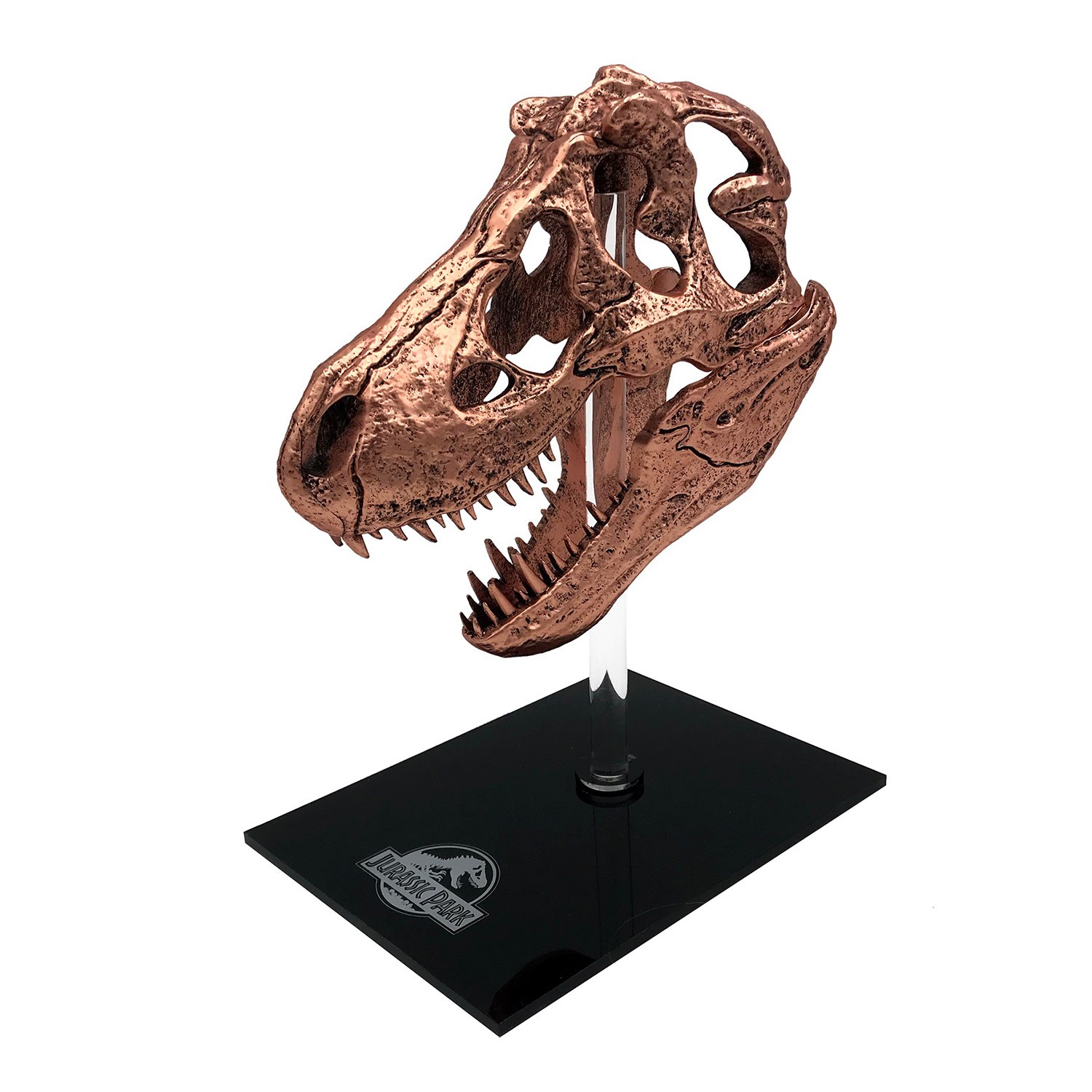 T-Rex Skull Scaled Replica by Factory Entertainment | Sideshow Collectibles