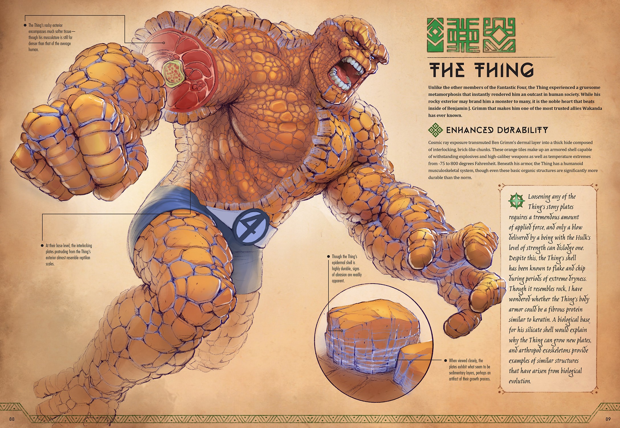 Marvel Anatomy: The Scientific Study of a Superhuman Book | Sideshow ...