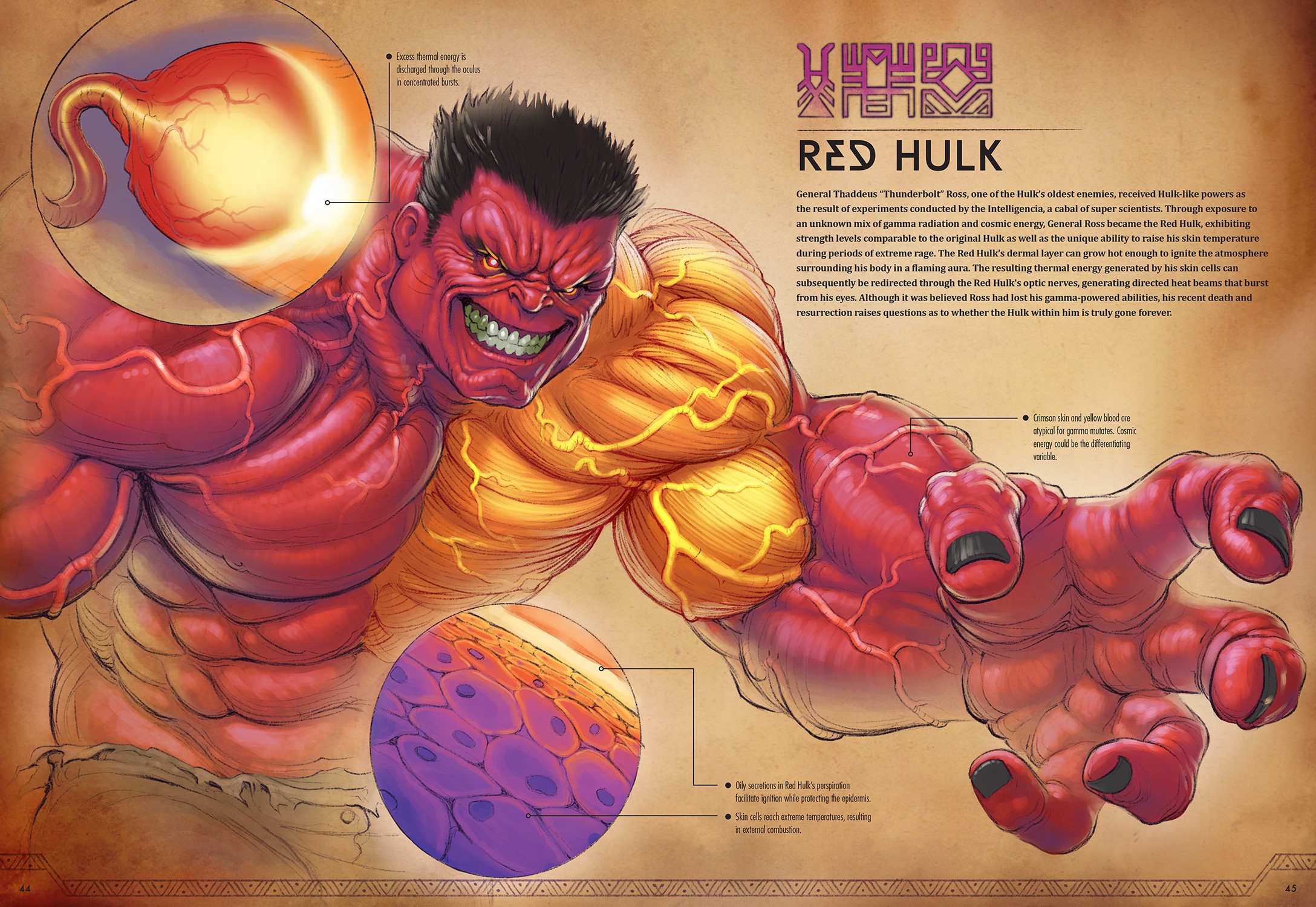 Marvel Anatomy: The Scientific Study of a Superhuman Book | Sideshow ...