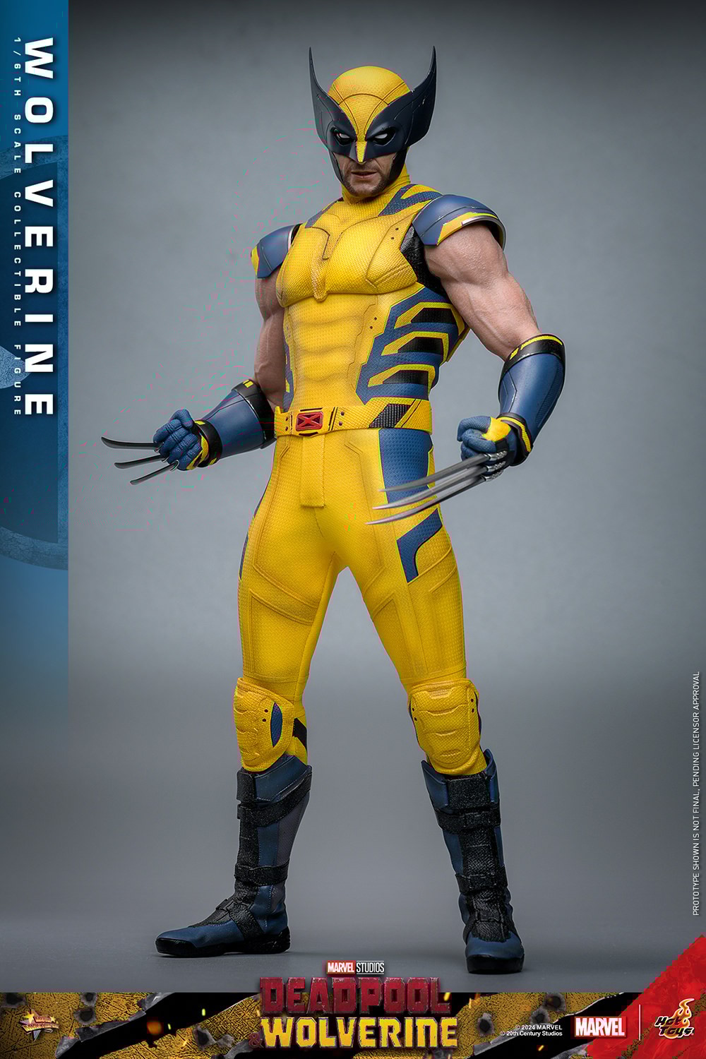 Wolverine (Deluxe Version) Sixth scale Figure by Hot Toys | Sideshow ...