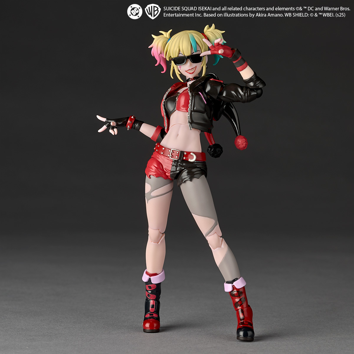Isekai Harley Quinn (Revoltech) Collectible Figure by Kaiyodo ...