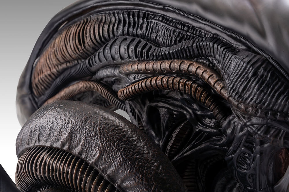 Alien Xenomorph Life-Size Bust by Hollywood Collectibles Group ...