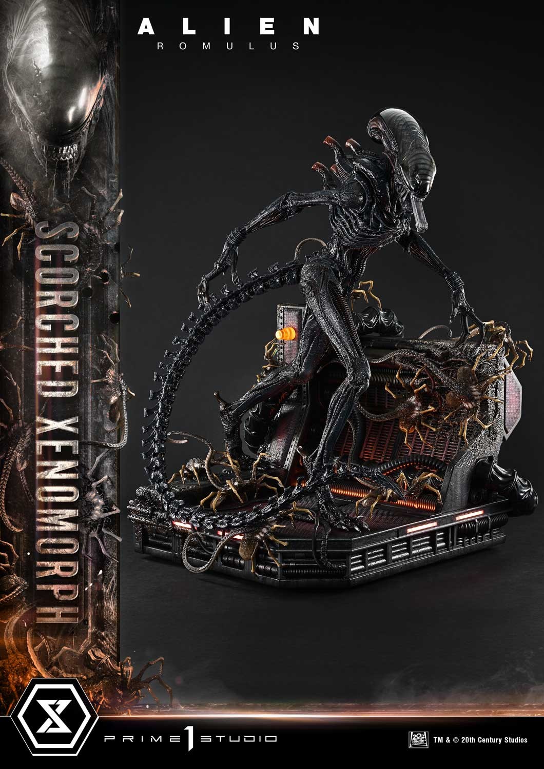 Scorched Xenomorph 1:3 Scale Statue by Prime 1 Studio | Sideshow ...